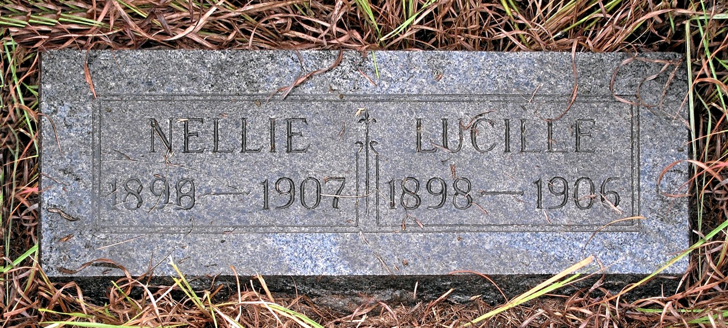 Emilia Sophia Larson